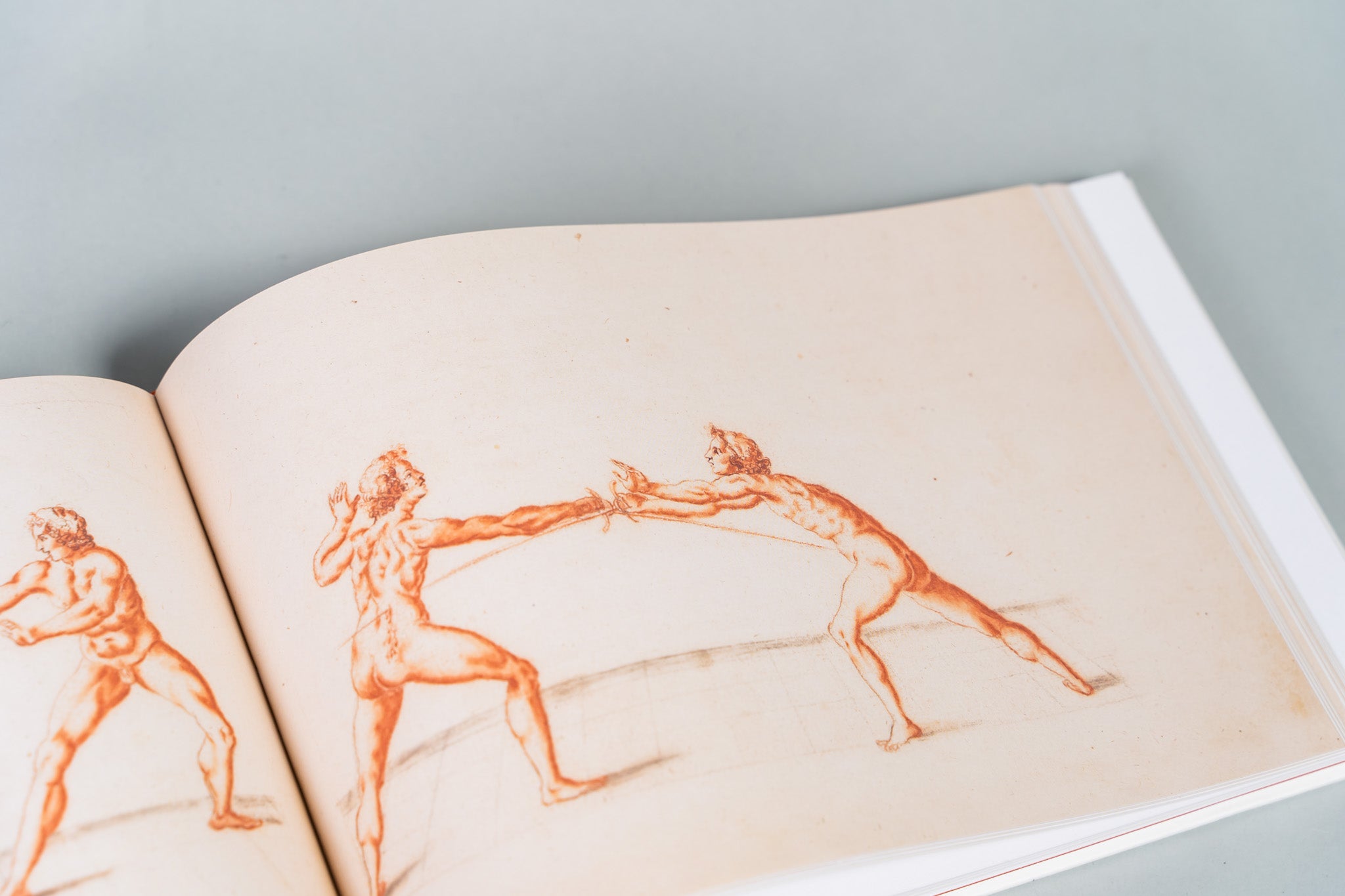 The Art of Fencing: The Forgotten Discourse of Camillo Palladini Hardc – SoCal Swords